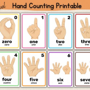 Bilingual Finger Number Flash Cards Colorful Counting 0-10 - Etsy