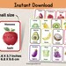 50 Colorful Bilingual Fruits and Vegetables Card Montessori - Etsy