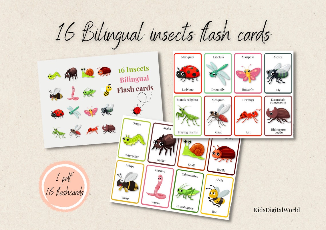 INSECTS 16 Montessori Cards / Bilingual Cards / Nomenclature - Etsy