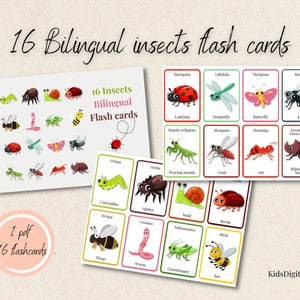 INSECTS 16 Montessori Cards / Bilingual Cards / Nomenclature - Etsy