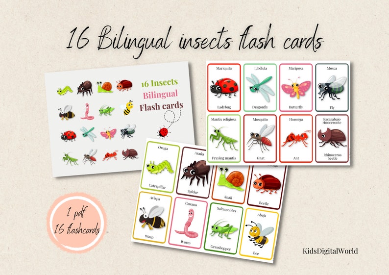 INSECTS 16 Montessori Cards / Bilingual Cards / Nomenclature - Etsy