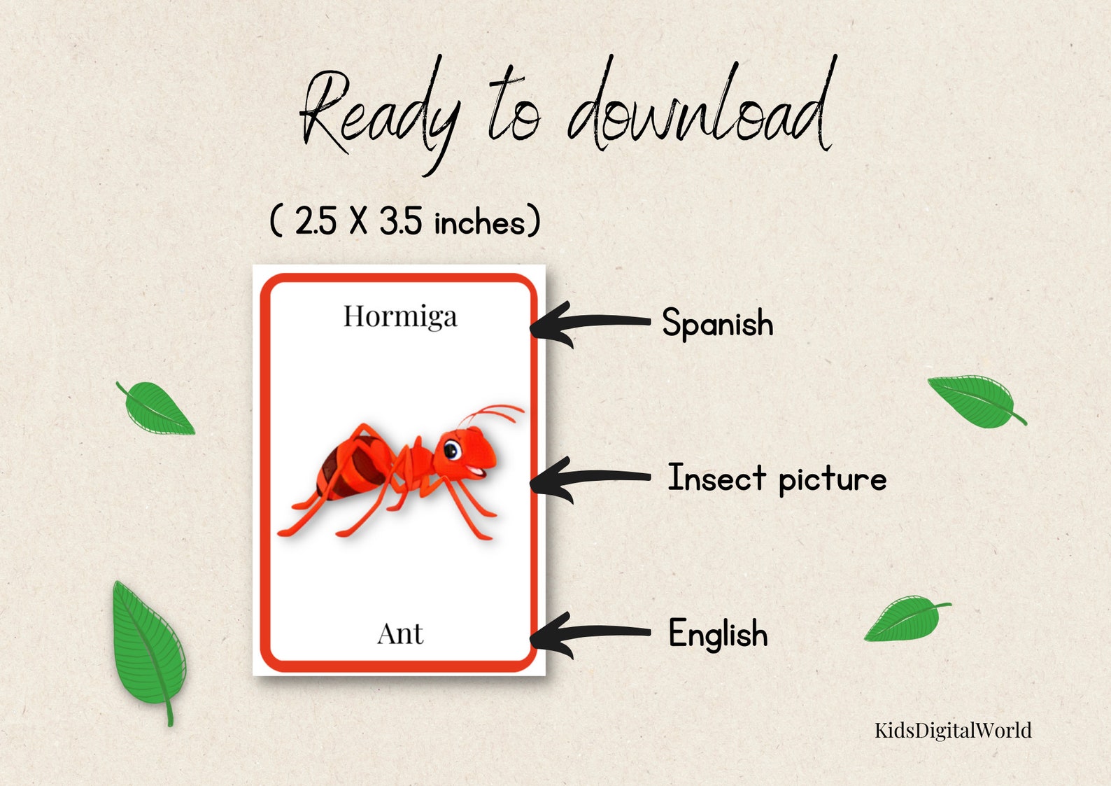 INSECTS 16 Montessori Cards / Bilingual Cards / Nomenclature - Etsy