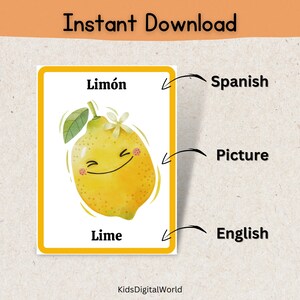 50 Colorful Bilingual Fruits and Vegetables Card Montessori - Etsy