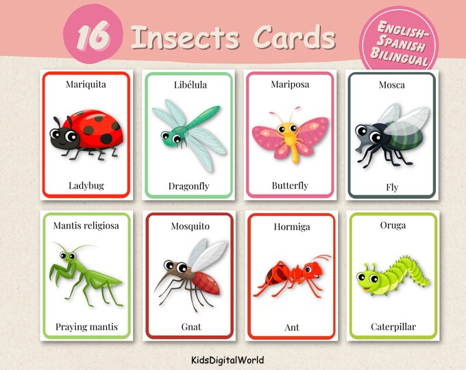 Tarjetas de insectos imprimibles para niños inglés-español - Etsy México