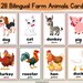 Bilingual Farm Animals Educational Cards | Montessori Flash Cards ...