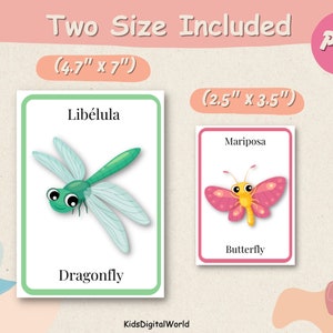 INSECTS 16 Montessori Cards / Bilingual Cards / Nomenclature Flashcards ...