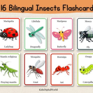INSECTS 16 Montessori Cards / Bilingual Cards / Nomenclature - Etsy