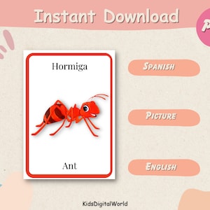 INSECTS 16 Montessori Cards / Bilingual Cards / Nomenclature Flashcards ...