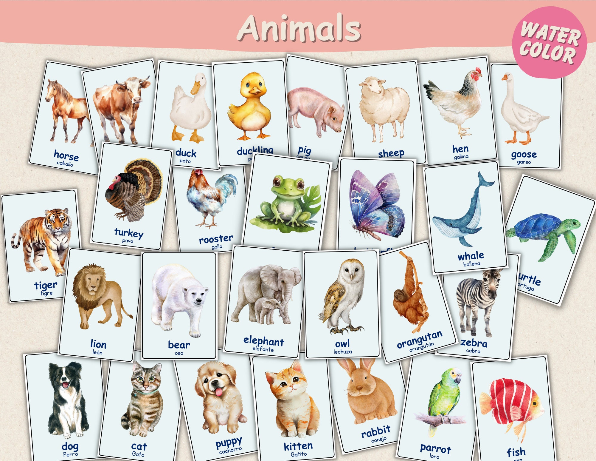 100 First Words Bilingual, Flash Cards, English and Spanish, Montessori ...