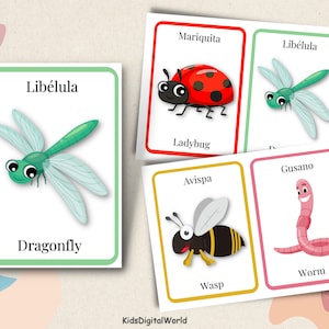 INSECTS 16 Montessori Cards / Bilingual Cards / Nomenclature Flashcards ...