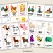 Bilingual Farm Animals Educational Cards Montessori Flash Cards Rainbow ...