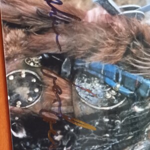 Highlander Christopher Lambert, Signed Autograph Photo - Etsy