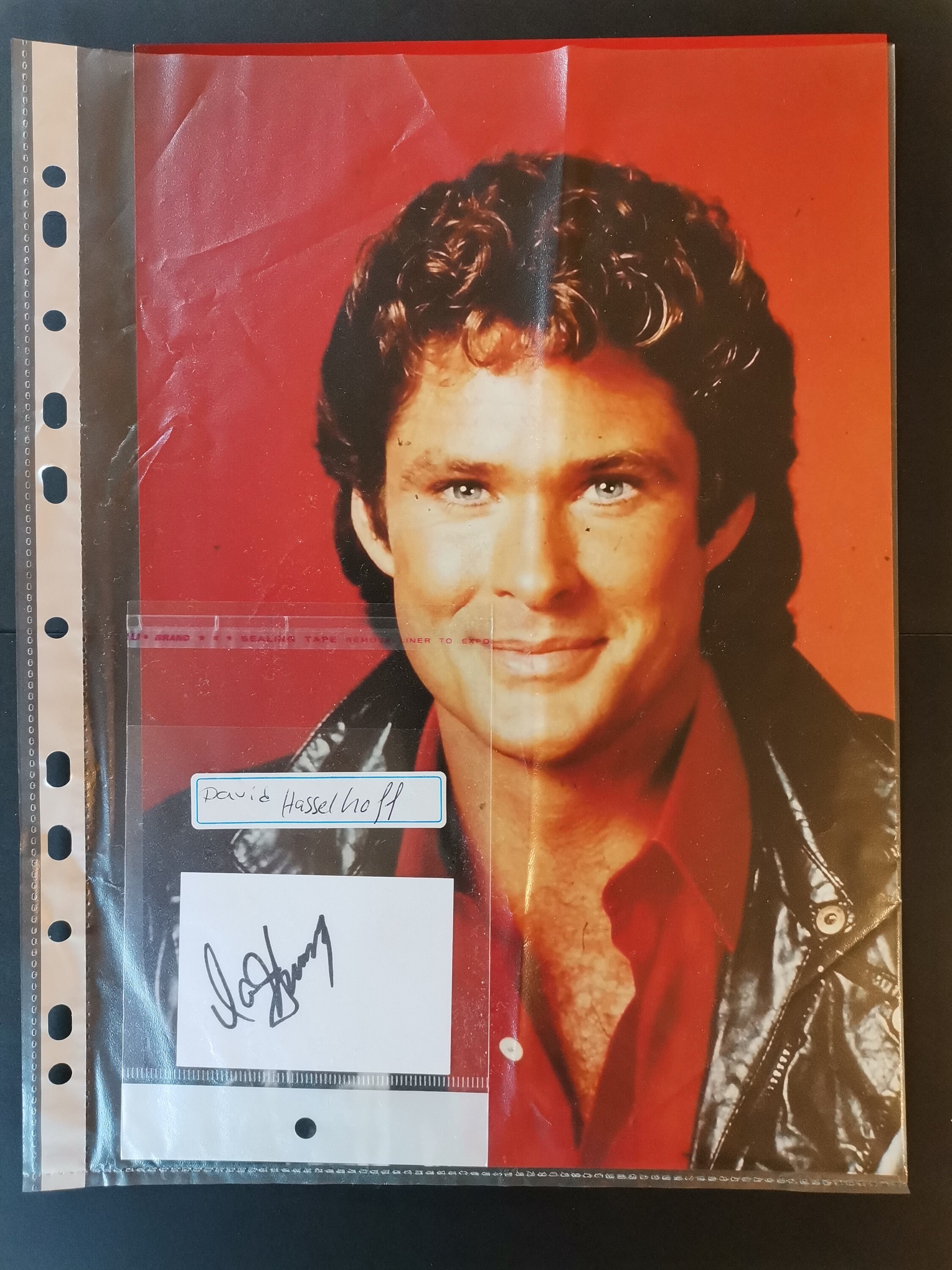 David Hasselhoff Knight Rider Signed Autograph on Paper - Etsy