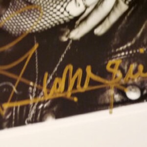 Siouxsie Sioux, Into A Swan, Signed Autograph Photo, 6 X 8 Inches - Etsy