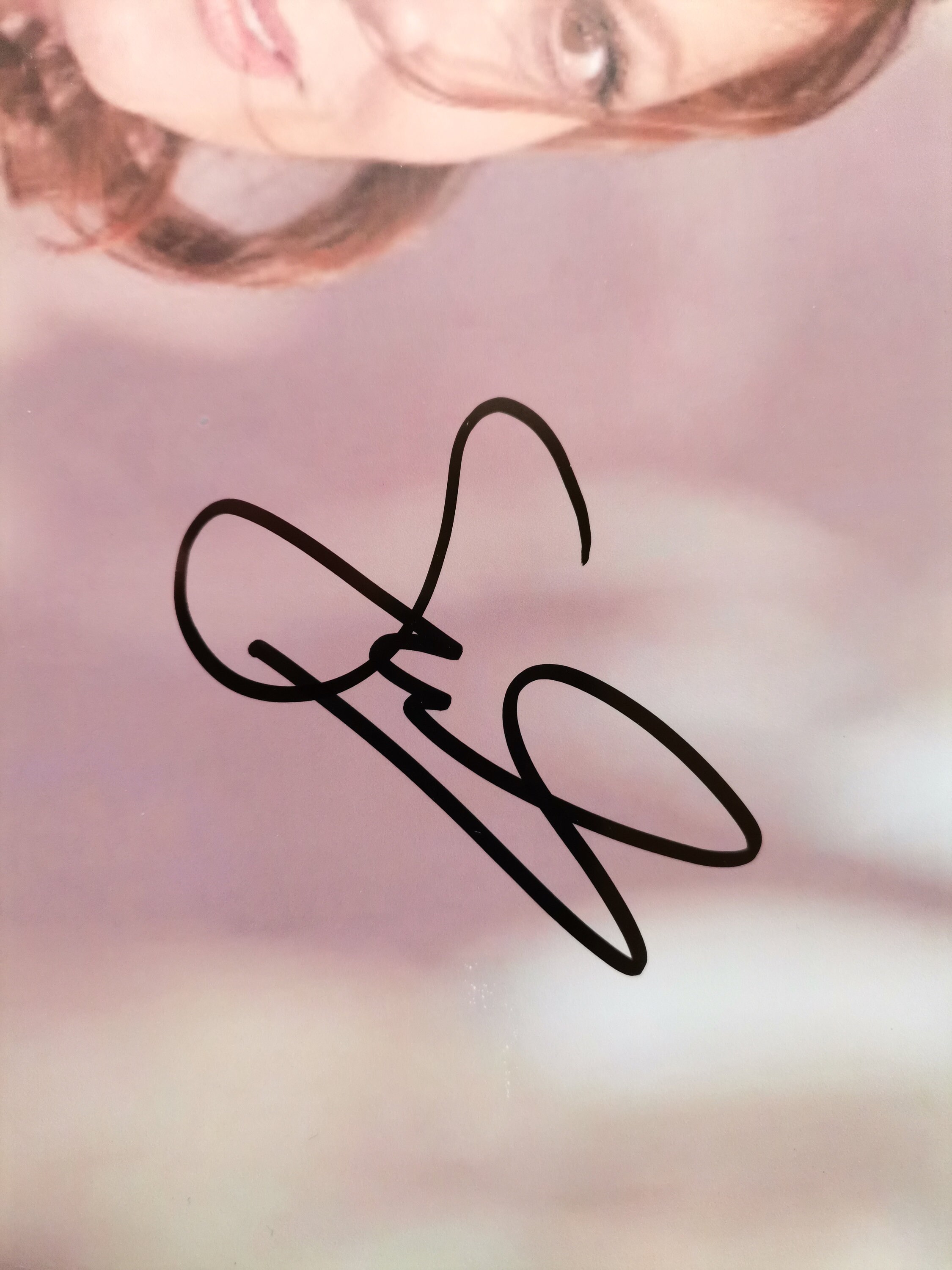 Susan Sarandon, Thelma & Louise Signed Autograph Photo, Framed 14x12x1 ...