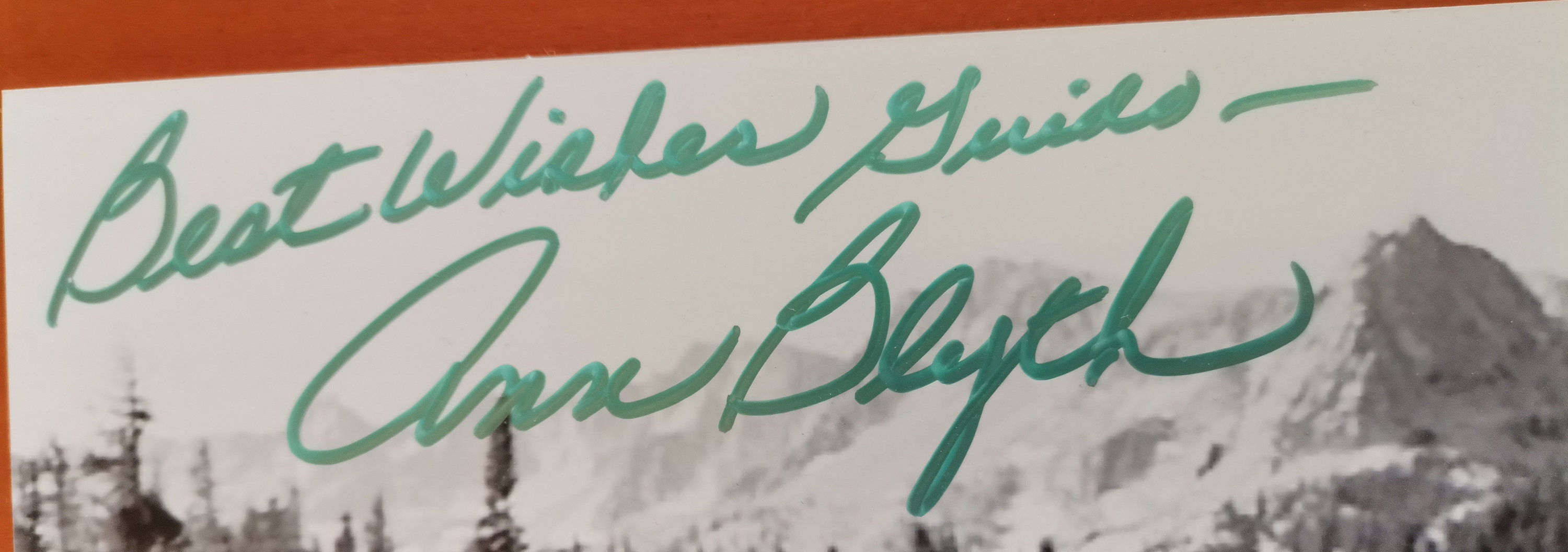 Ann Blyth Signed Autographed 10x8 Photo - Etsy