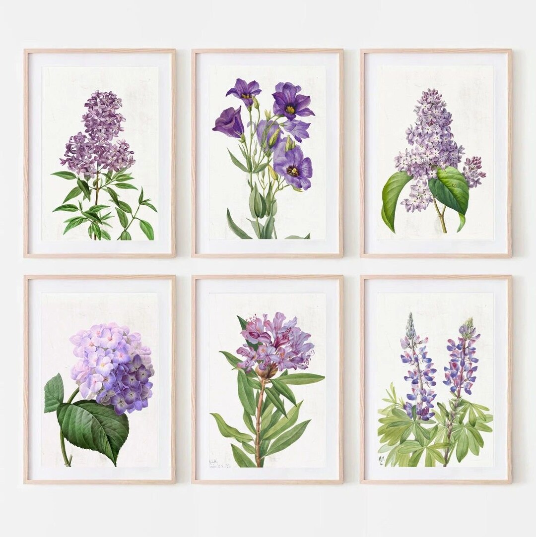 Vintage Lavender Botanical Prints: Set of Six Purple Flower Art - Etsy