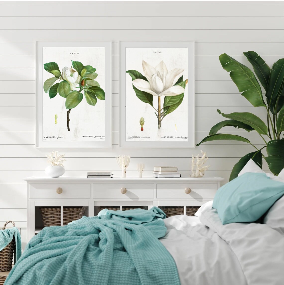 Set of Two Botanical Magnolia Vintage Art Posters - Etsy