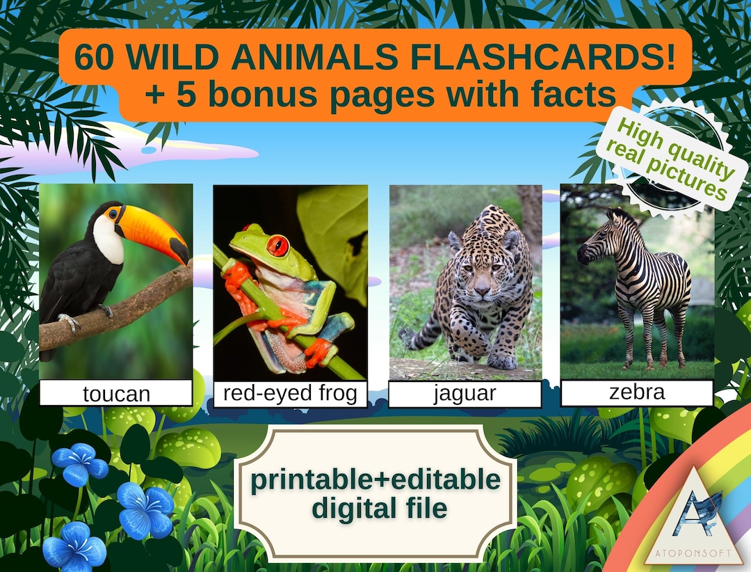 60 WILD ANIMALS FLASHCARDS, Montessori, Flashcards, Educational ...