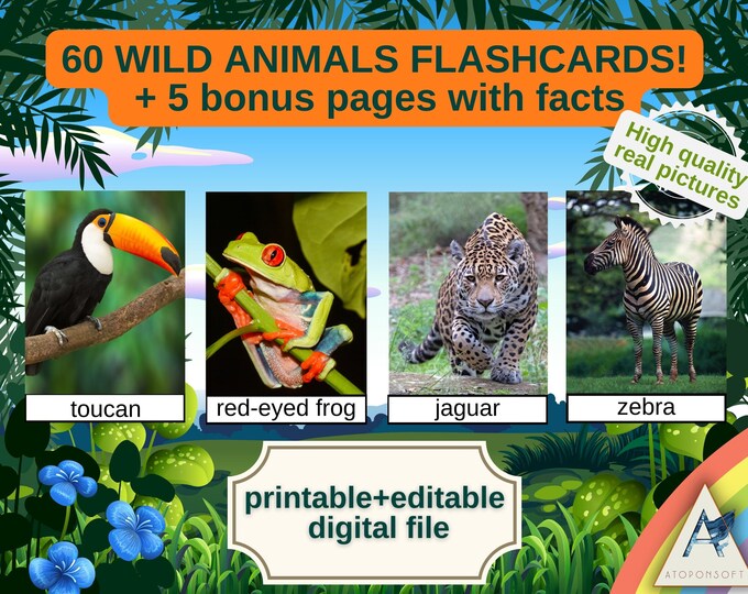 32 Wild Animals Flashcards, African Animals, Kids Cards, Nomenclature ...