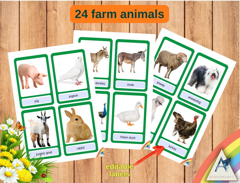 24 FARM ANIMALS FLASHCARDS, Montessori, Flashcards, Educational ...