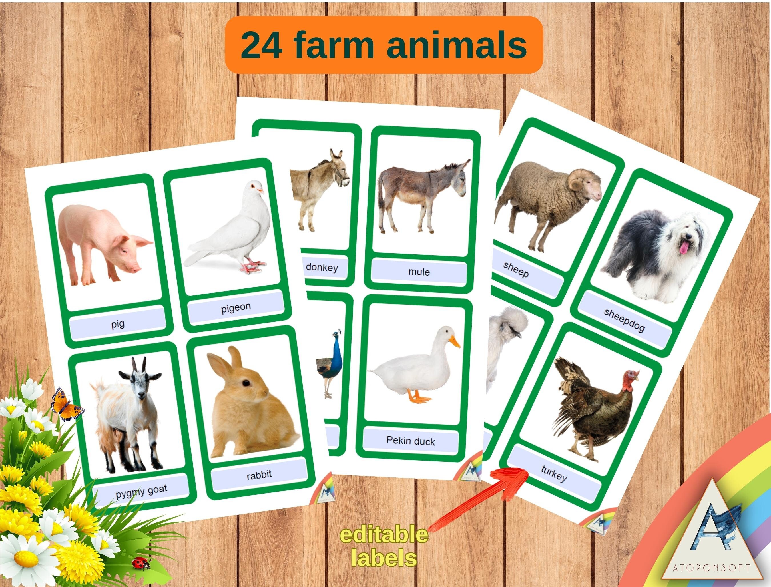 24 FARM ANIMALS FLASHCARDS, Montessori, Flashcards, Educational ...