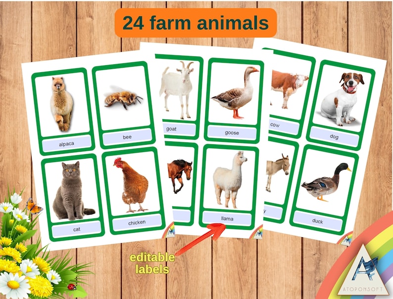 24 FARM ANIMALS FLASHCARDS, Montessori, Flashcards, Educational ...