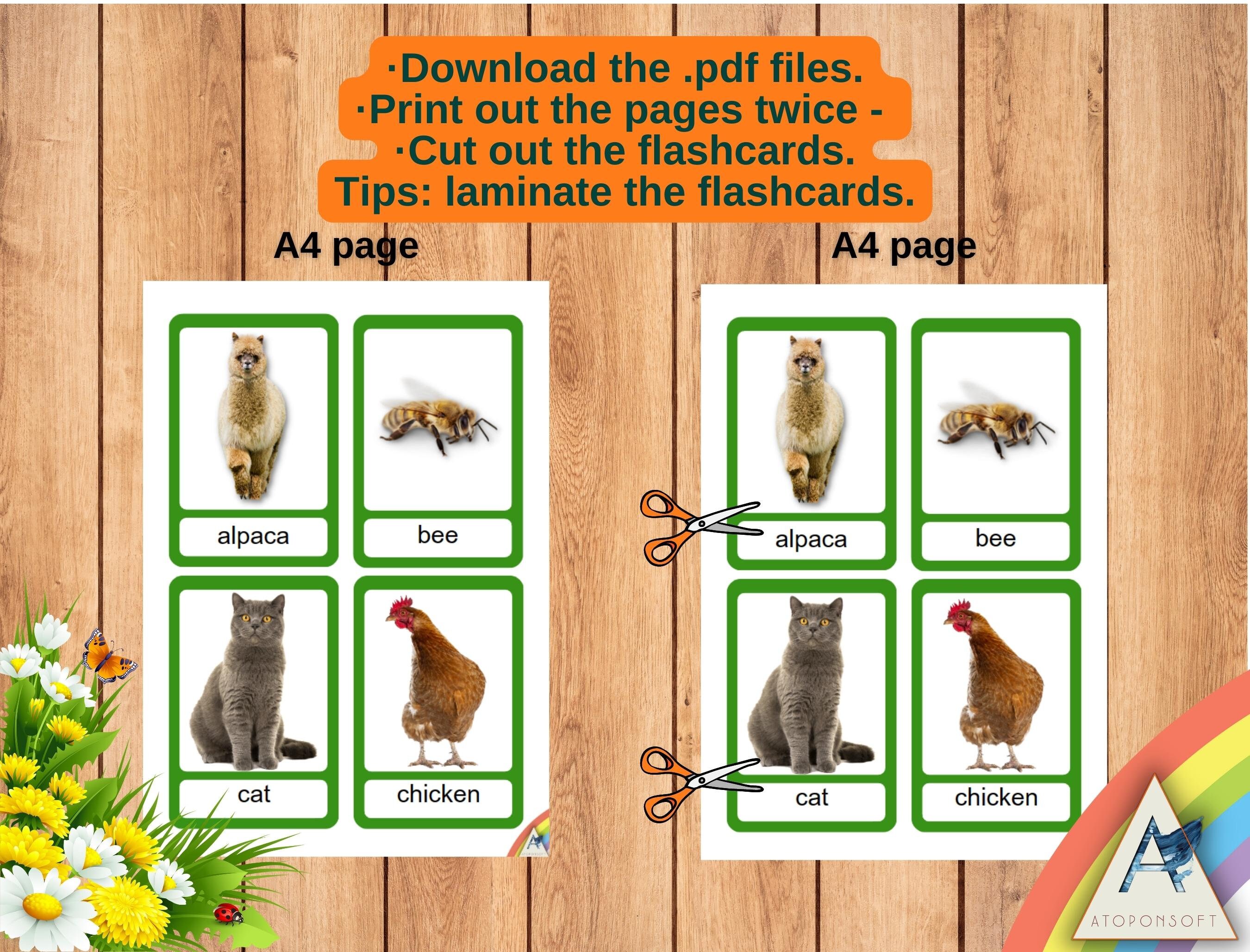 24 FARM ANIMALS FLASHCARDS, Montessori, Flashcards, Educational ...
