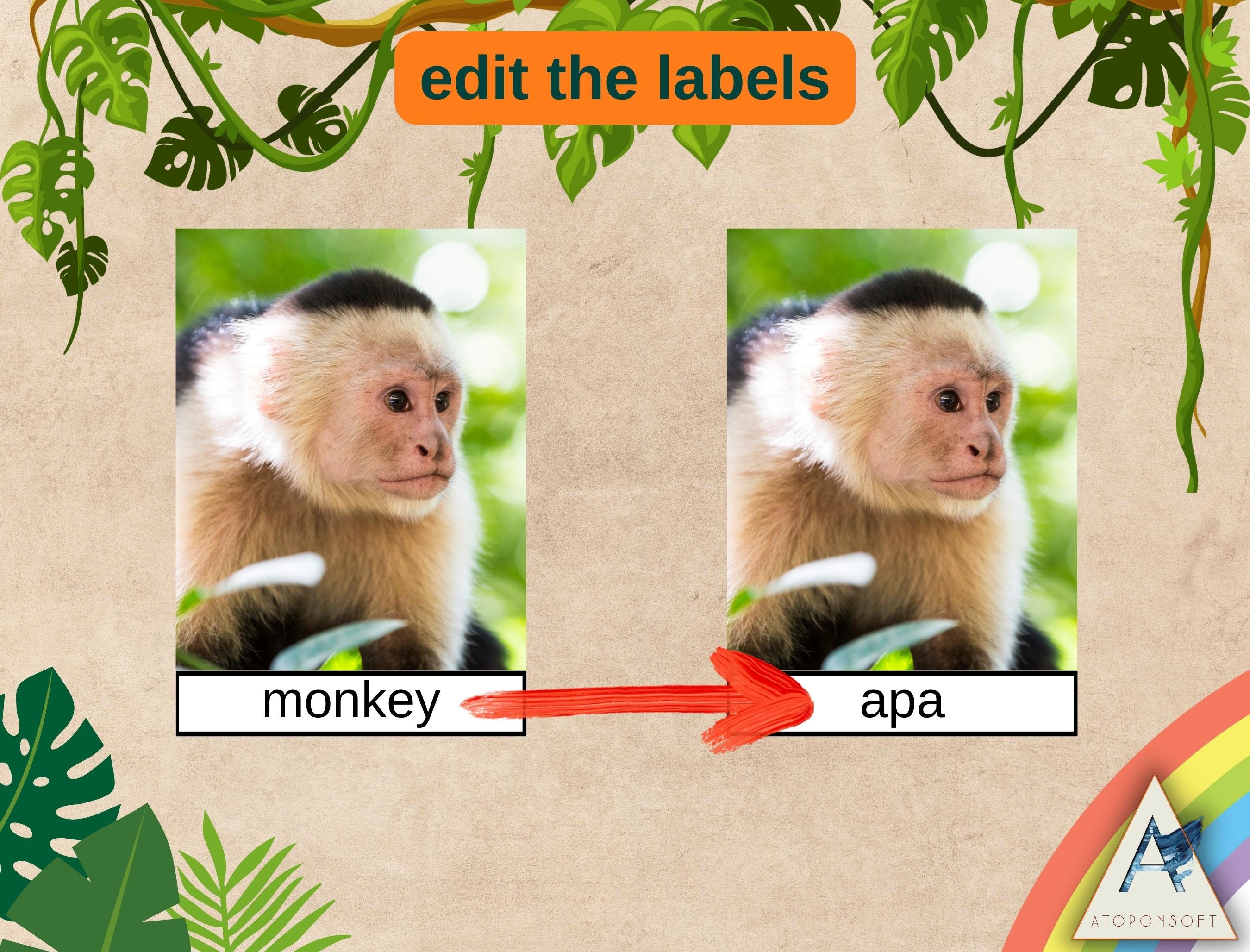 60 WILD ANIMALS FLASHCARDS, Montessori, Flashcards, Educational ...