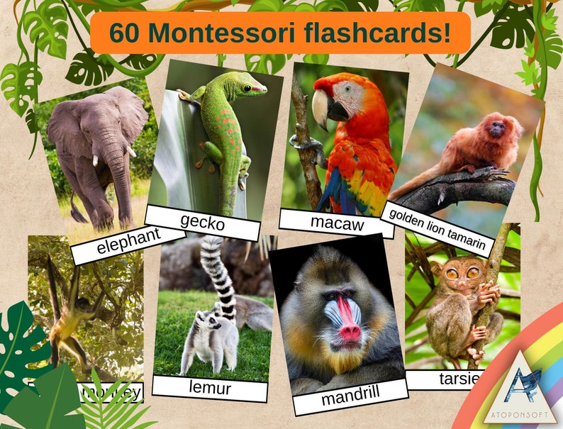 60 WILD ANIMALS FLASHCARDS, Montessori, Flashcards, Educational ...
