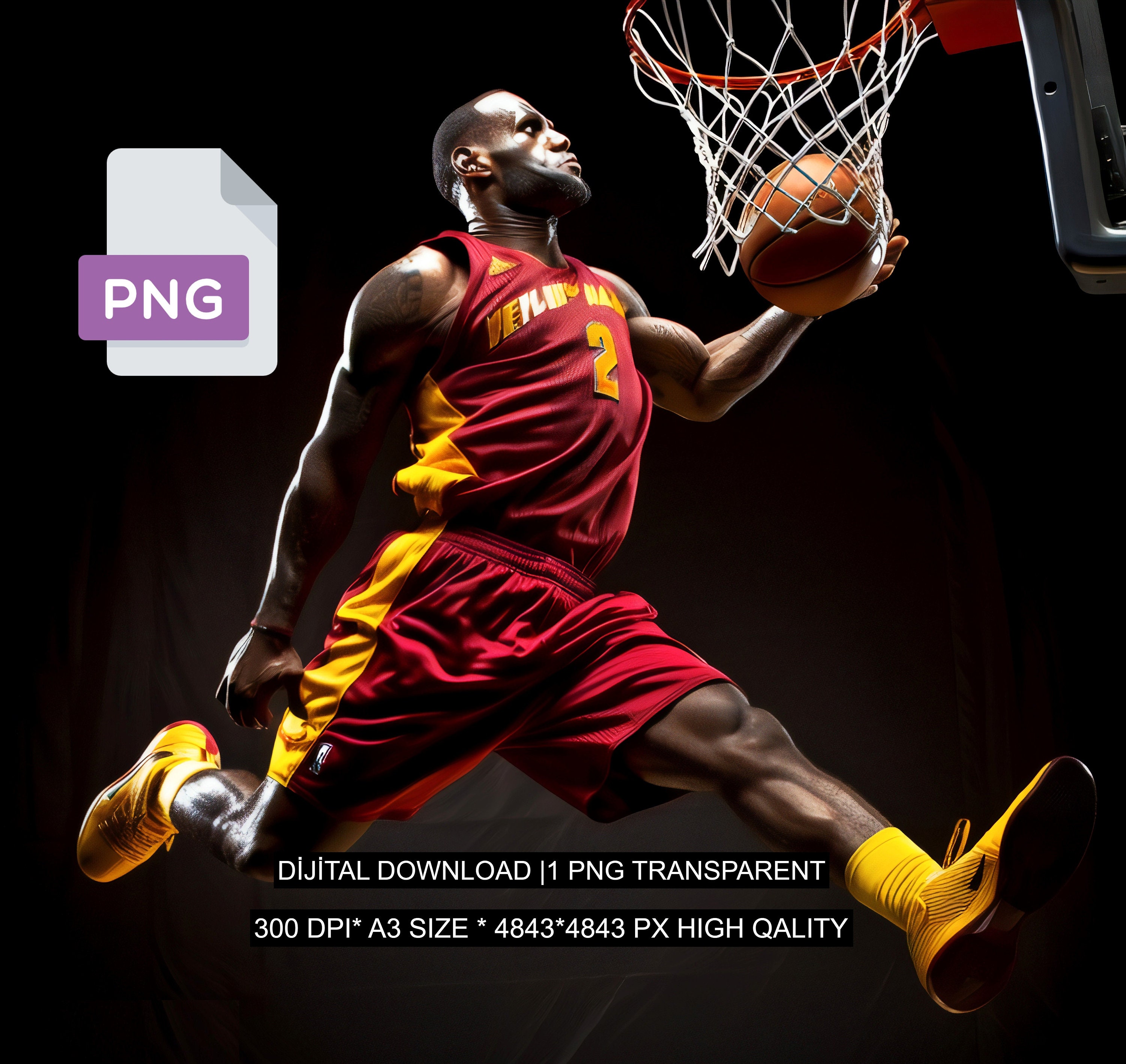 Lebron James Mini Afro