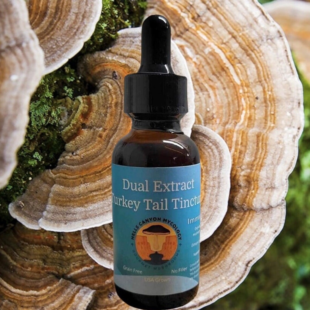 Turkey Tail Dual Extract Tincture - Etsy