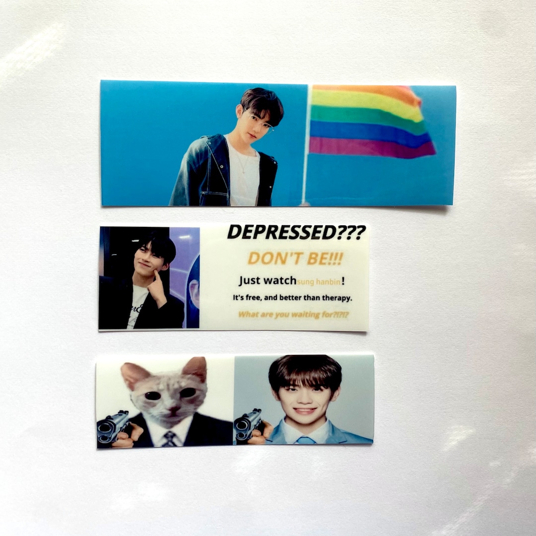 ZEROBASEONE ZB1 Reaction Meme Stickers Kpop Funny Cute - Etsy