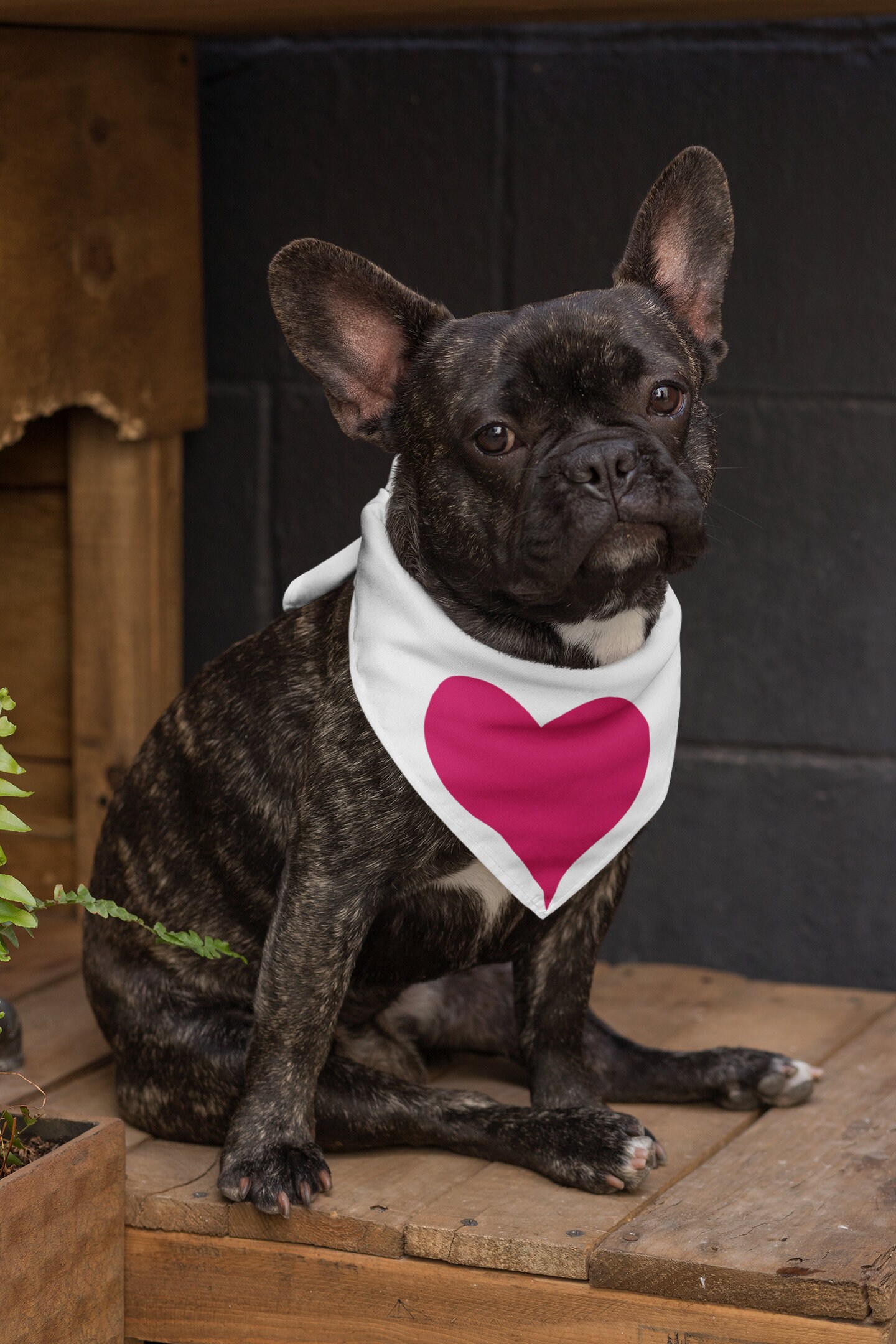 Big Fat Heart SVG PNG JPG, Black Heart, Love Icons Svg, Heart T-shirt ...