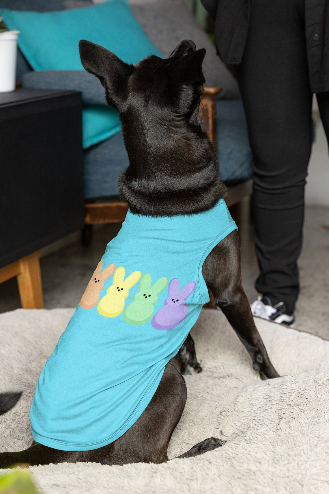 Peeps PNG SVG DXF Pastel 5-color Rainbow Bunnies Cute Spring & Easter ...