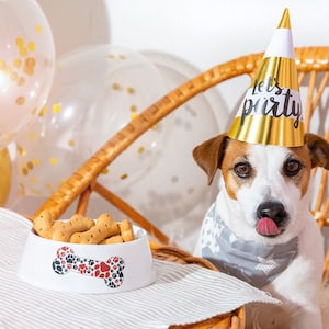 Dog Bone Red White & Blue Paw Print Scatter Pattern PNG Great for ...