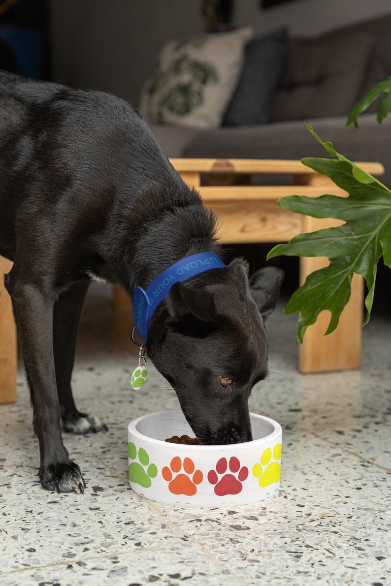 Paw Print Grid SVG/PNG/JPG, Rainbow Colors, Paw Print T-shirt Design ...
