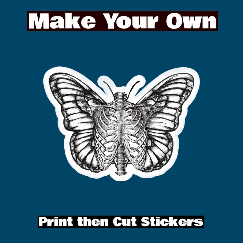 Vintage Butterfly Anatomy PNG Gothic Art Curiosity Illustration Black ...