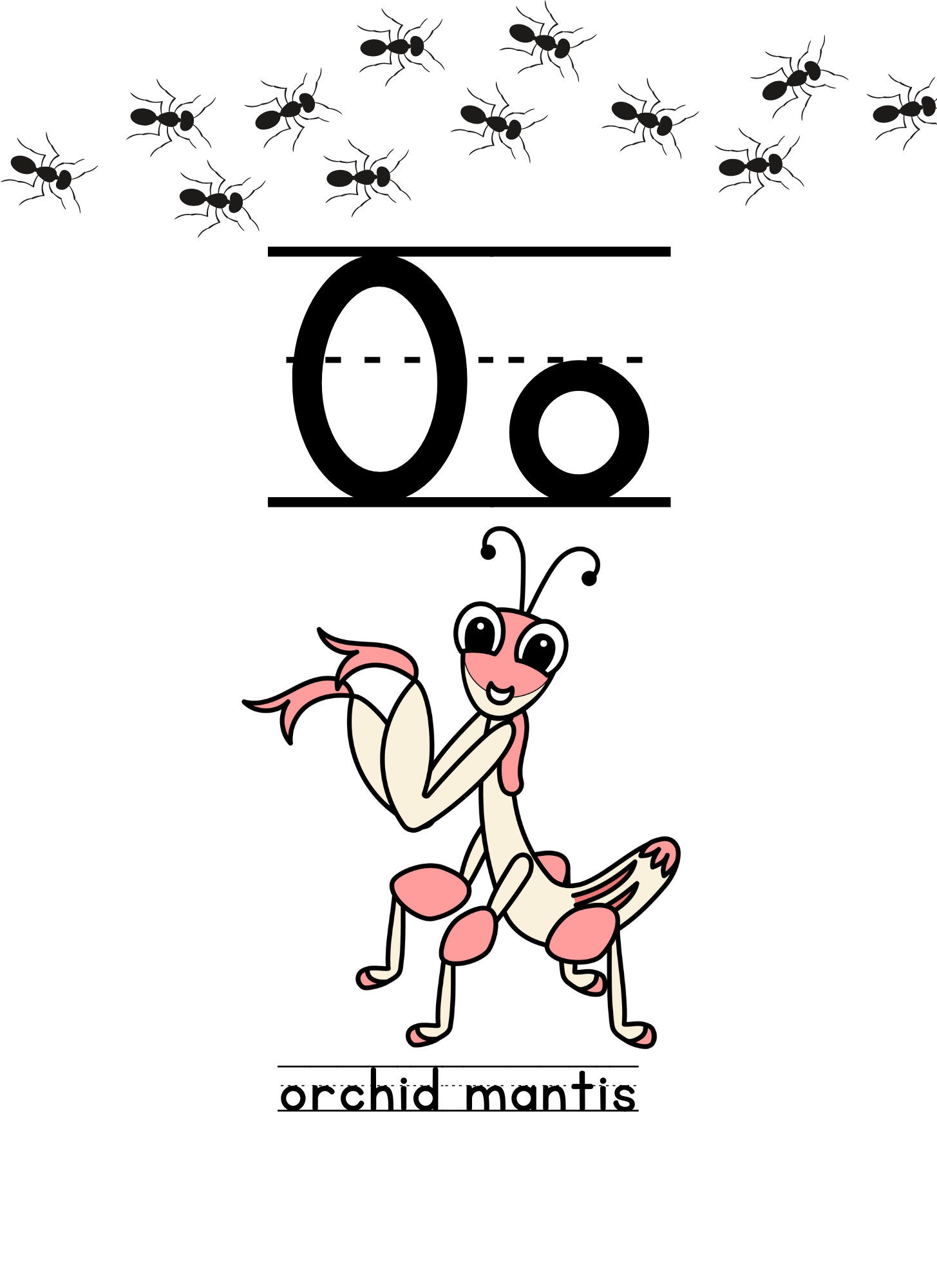 Creepy Crawlers Alphabet Posters - Etsy