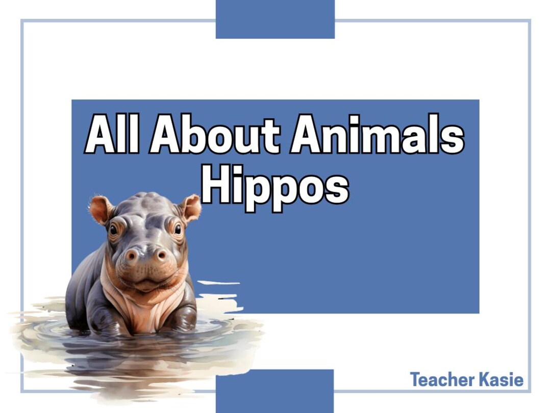 All About Hippos Classroom Nonfiction Storybook - Etsy