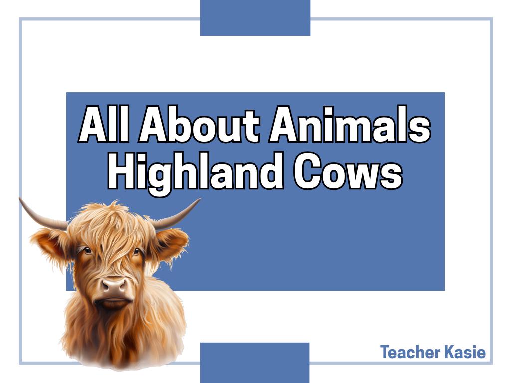 All About Highland Cows Classroom Nonfiction Storybook - Etsy