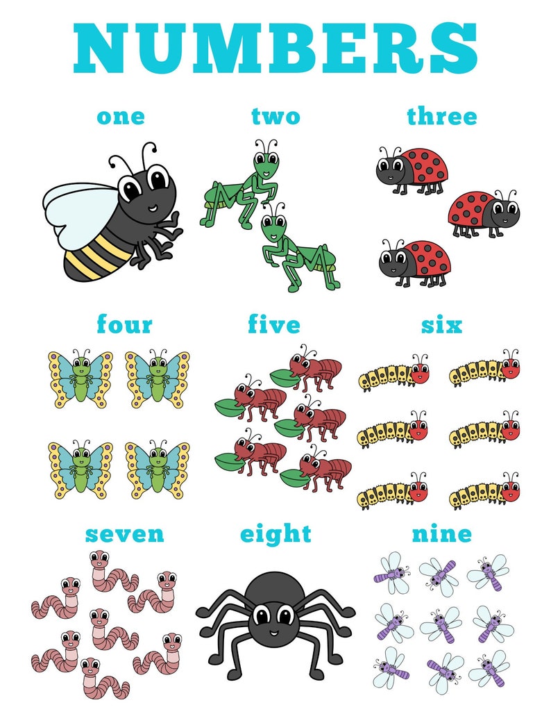 Creepy Crawlers Numbers Classroom Poster - Etsy