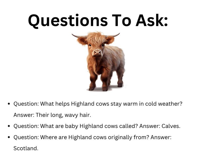 All About Highland Cows Classroom Nonfiction Storybook - Etsy