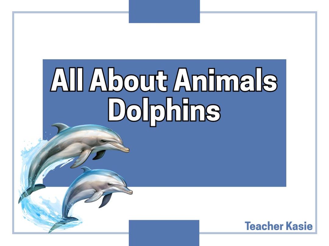 All About Dolphins Classroom Nonfiction Storybook - Etsy
