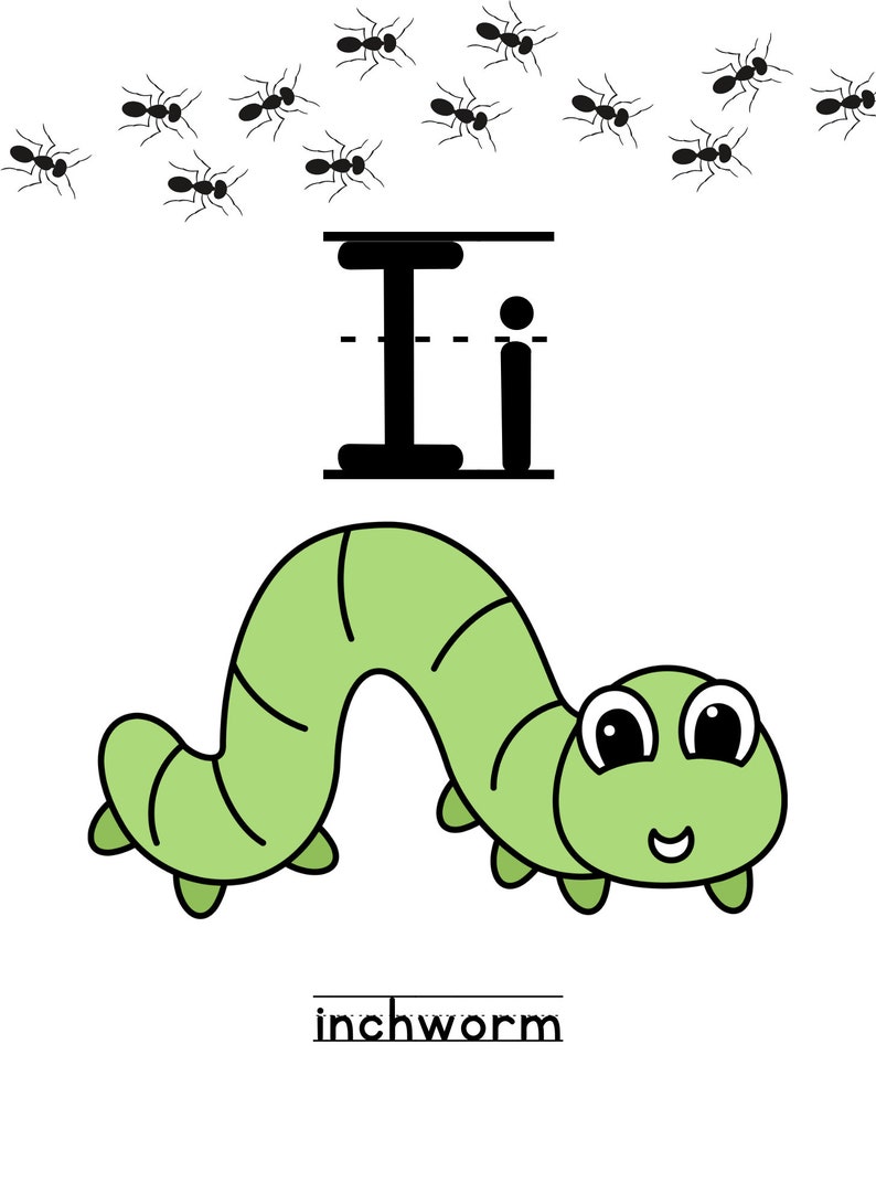 Creepy Crawlers Alphabet Posters - Etsy