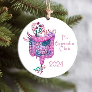Appendix Ornament Appendix Christmas Ornament Appendix Removal Gift ...