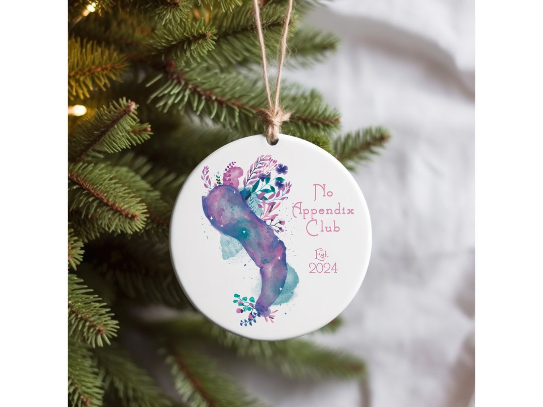 Appendix Ornament Appendix Christmas Ornament Appendix Removal Gift ...