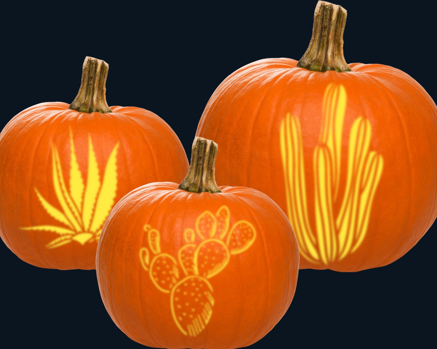 Cactus Decor Southwest Desert Decoration Pumpkin Carving Stencil Desert ...