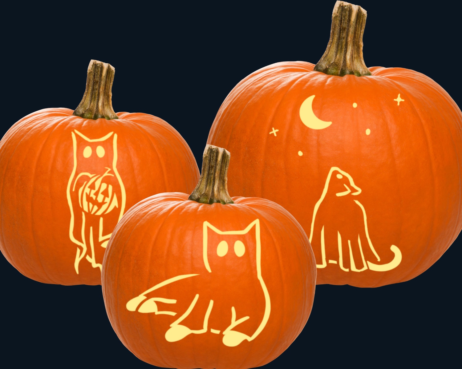 Ghost Cat Pumpkin Carving Stencil, Cat Pumpkin Carving Template ...