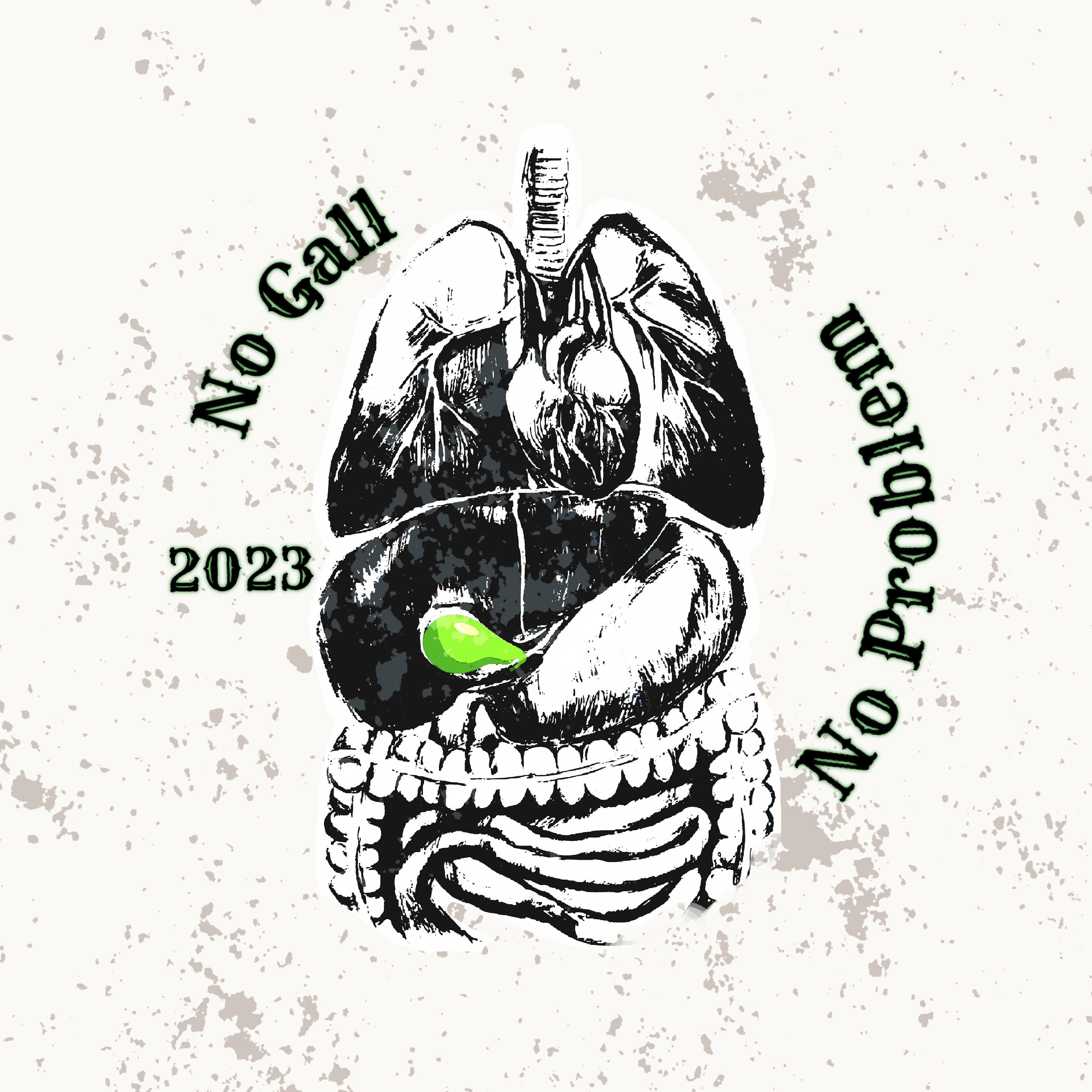 Gallbladder Ornament Gallbladder Christmas Ornament Gallbladder Removal ...